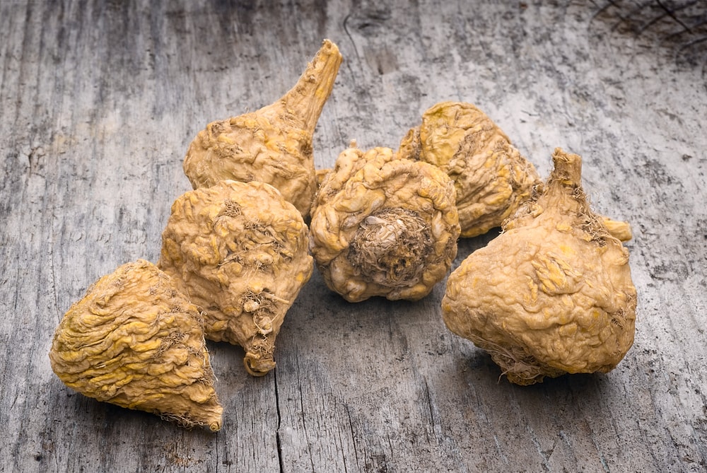 Maca | Le guide des plantes