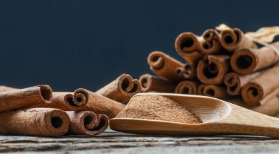 Cannelle | Le guide des plantes